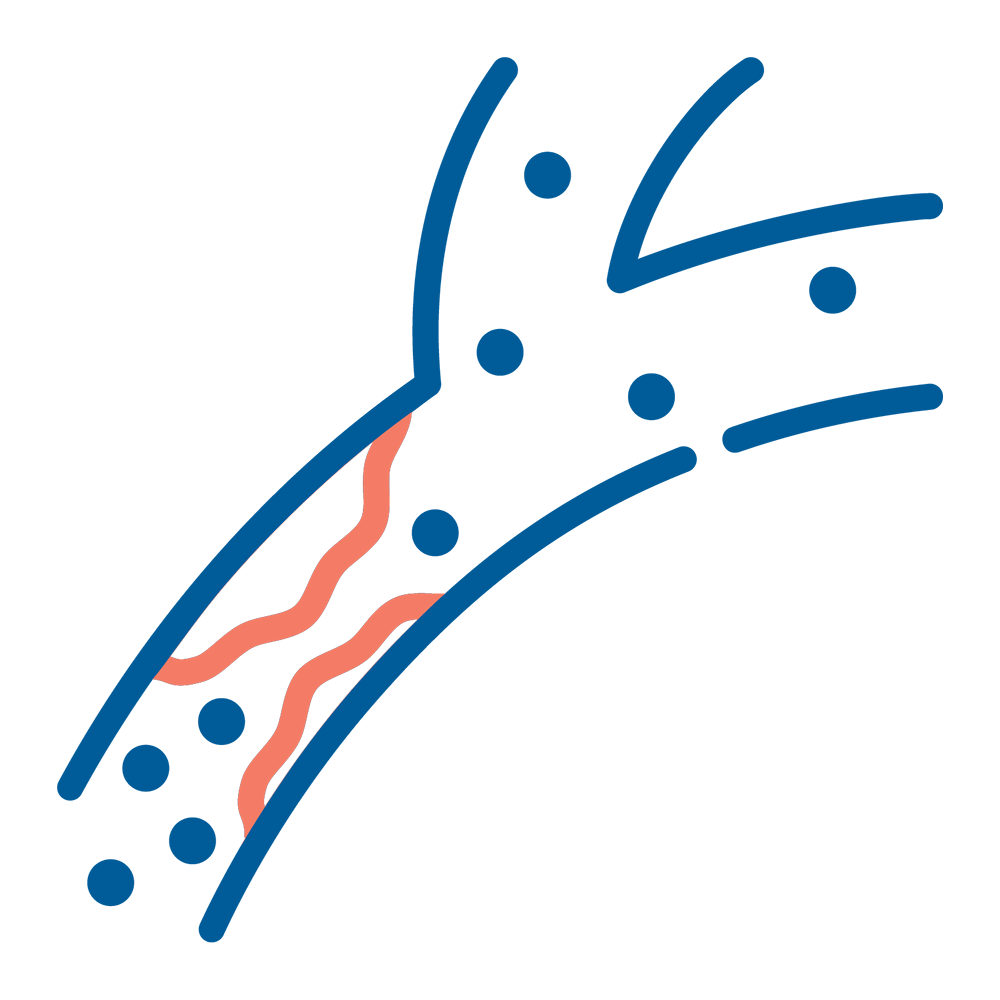 Delaware Imaging Network's Cardiac Imaging Program